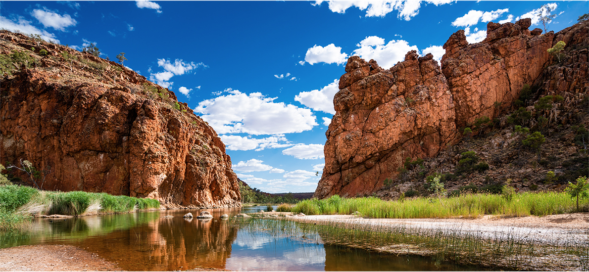 Lone Dingo – Alice Springs Outdoor and Travel Specialists